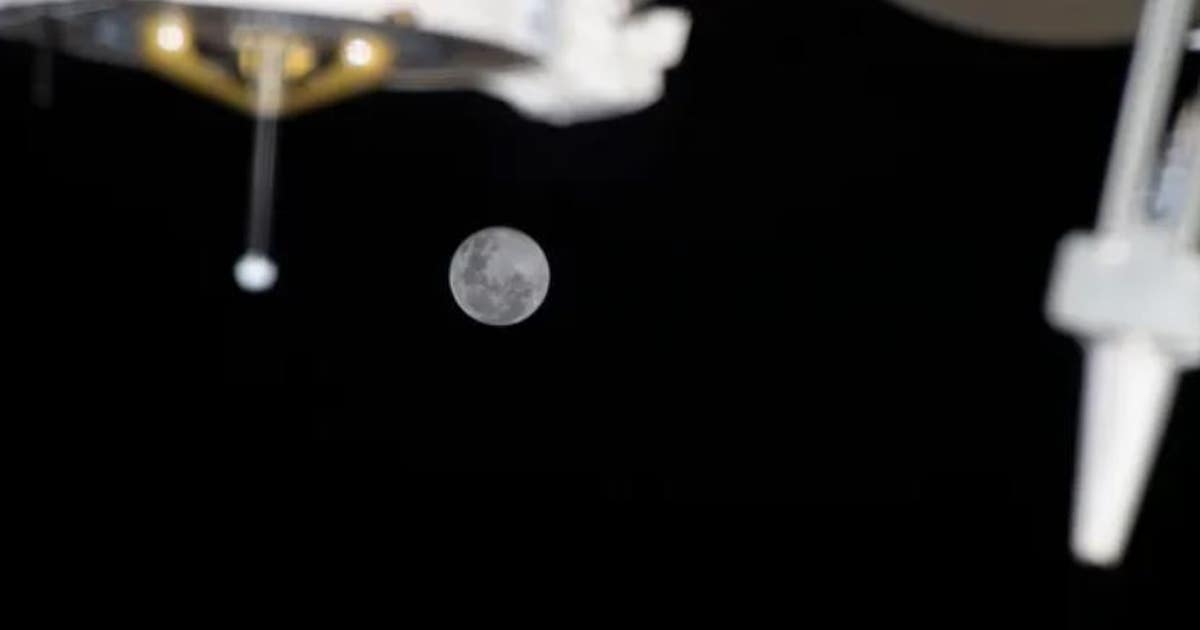 Here's when to watch for February's full snow moon | FOX 5 Atlanta