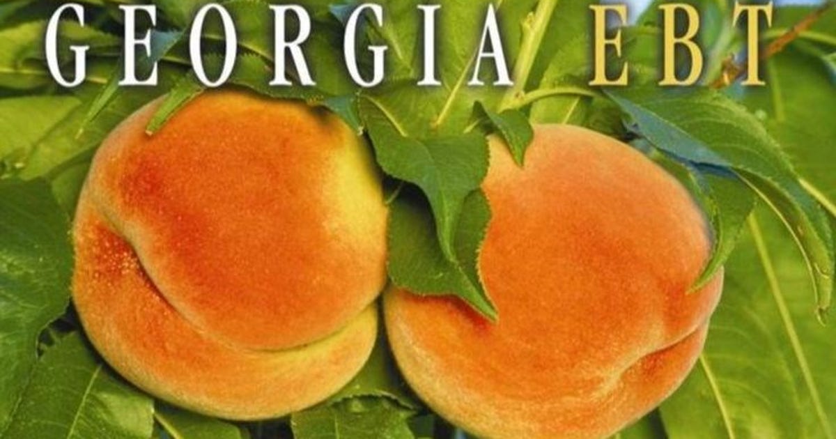 Georgia SNAP payments to halt; Democrats urge Kemp to use budget ...