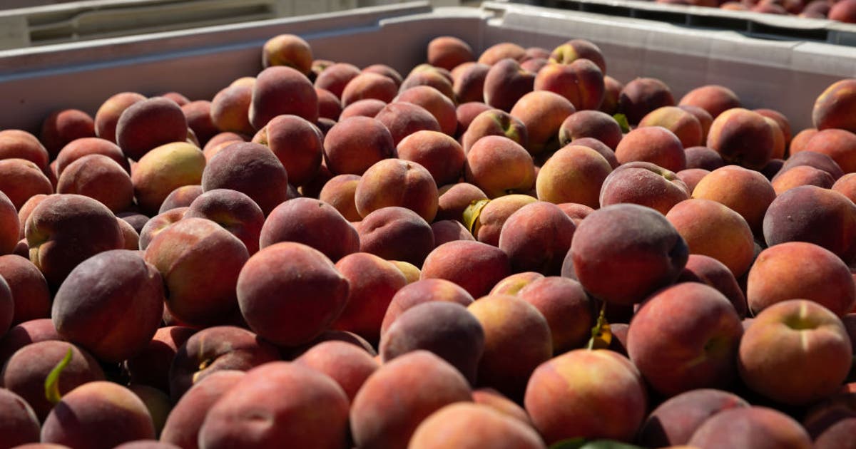 18 Georgia counties listed as natural disaster areas following peach ...