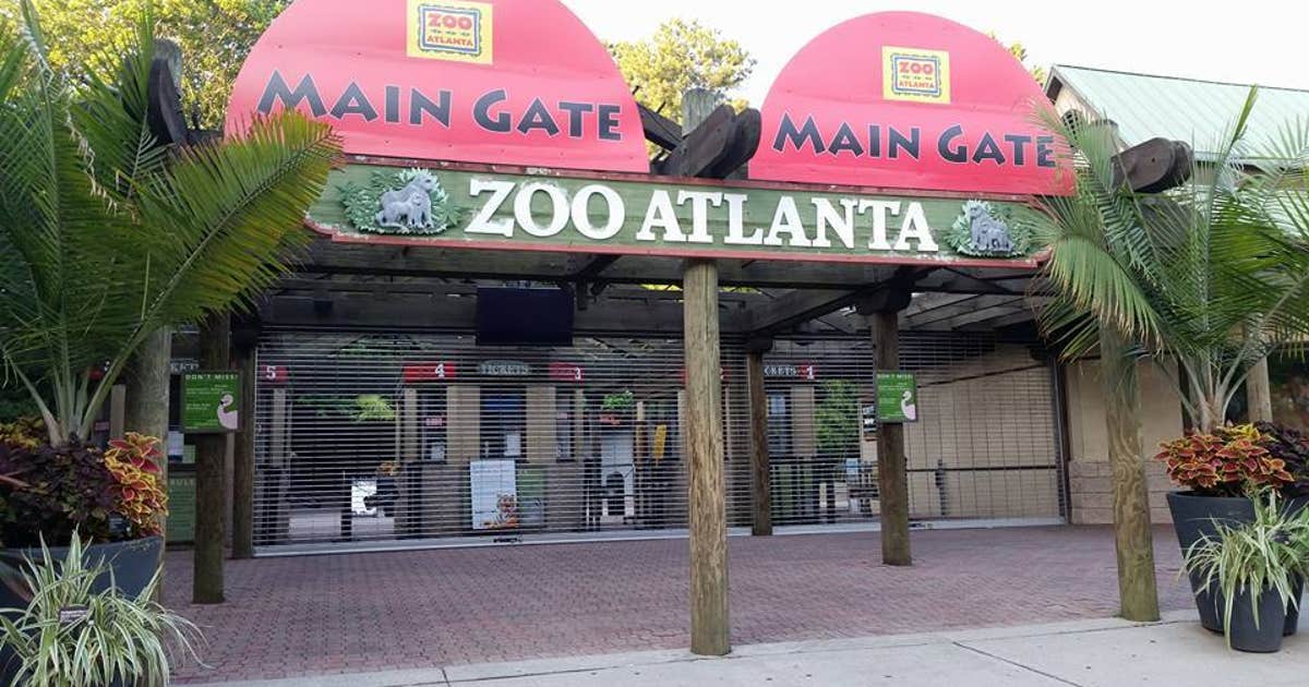Zoo Atlanta unveils $6 admission for Georgia SNAP families | FOX 5 Atlanta