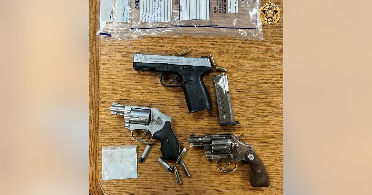 Routine traffic stop in Haralson County yields drug, gun bust | FOX 5 ...