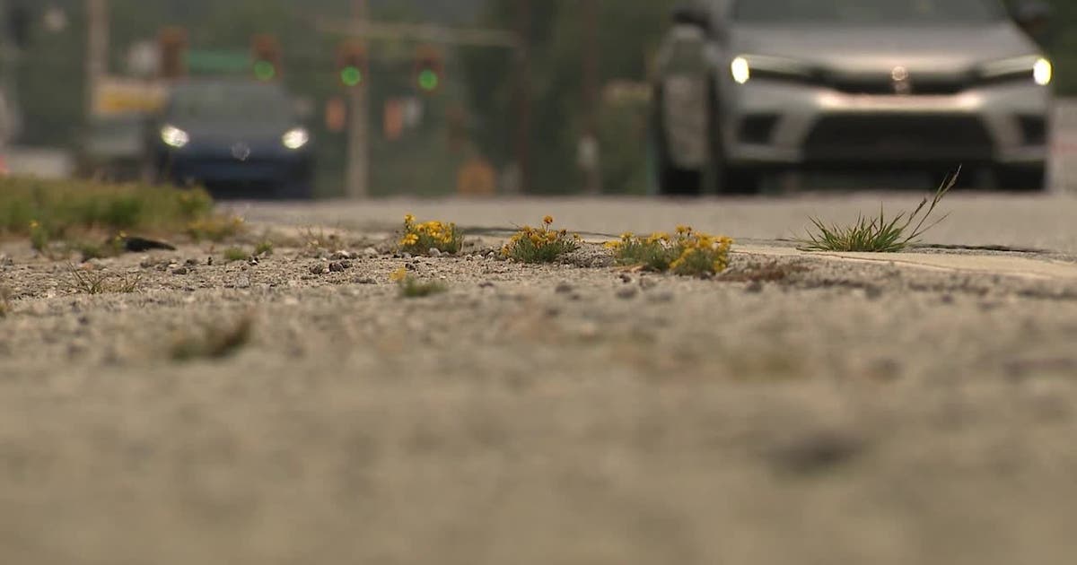 Do wider roads lead to faster drivers? | FOX 5 Atlanta