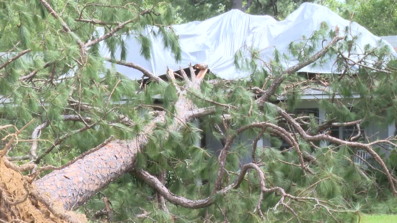 President Biden approves disaster aid for Georgia after Hurricane Idalia | FOX 5 Atlanta