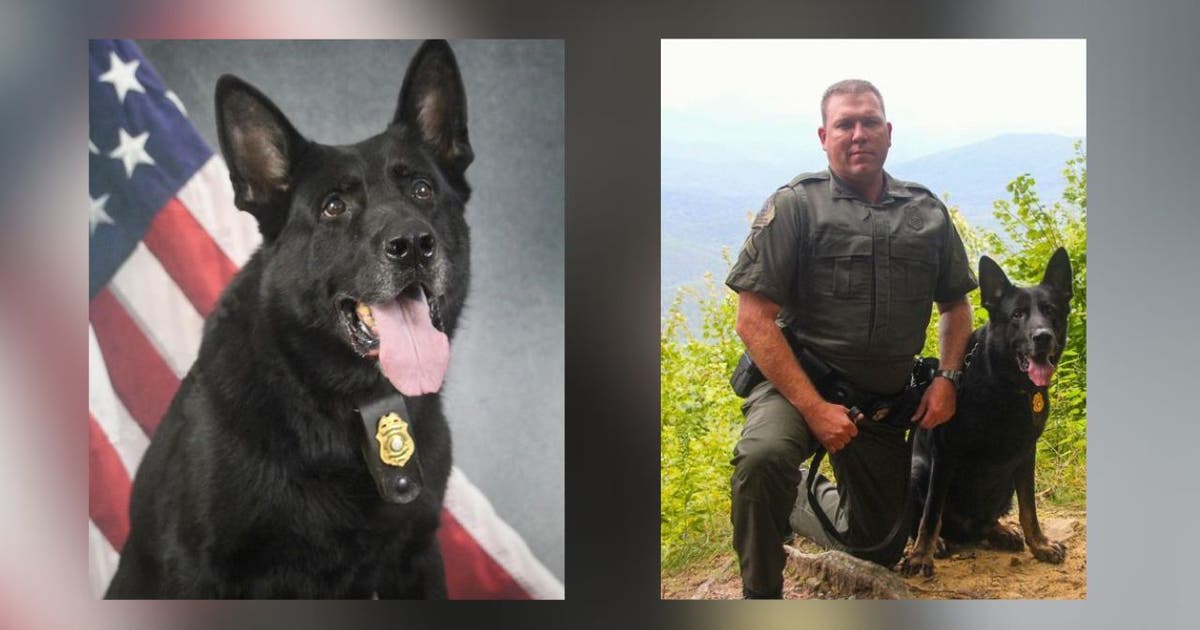 DNR Game Warden K-9 dies unexpectedly while tracking poacher near ...
