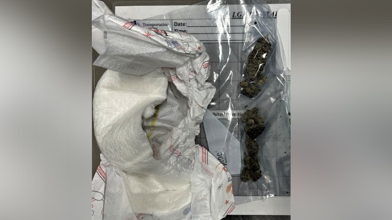 TSA finds marijuana in woman’s adult diaper at airport checkpoint | FOX ...