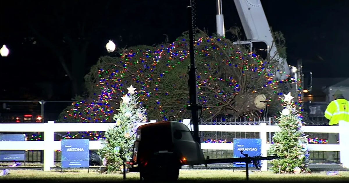 Strong winds knock over National Christmas Tree in front of White House ...