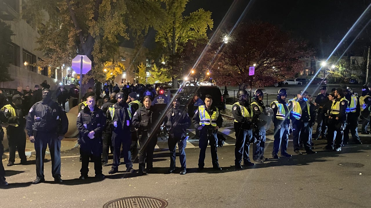 Capitol Police confront pro-Palestine protesters outside DNC building ...