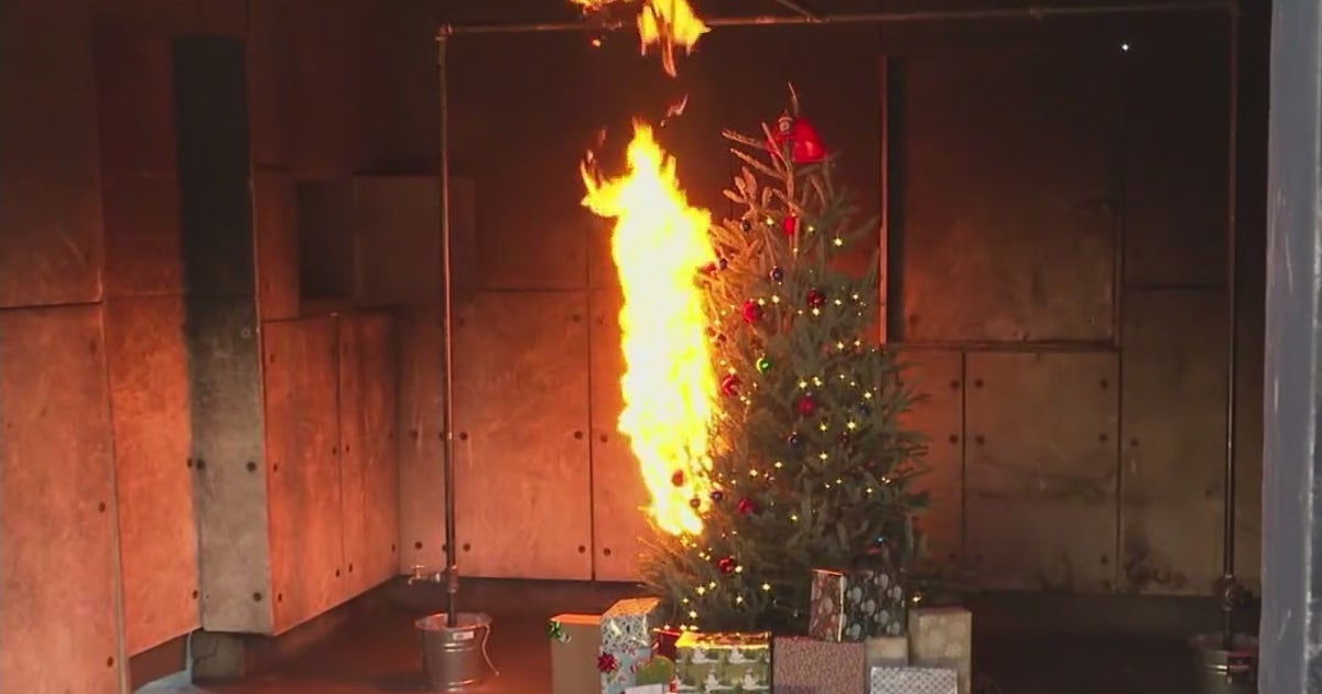 Cobb County firefighters demonstrate dangers of neglected Christmas ...