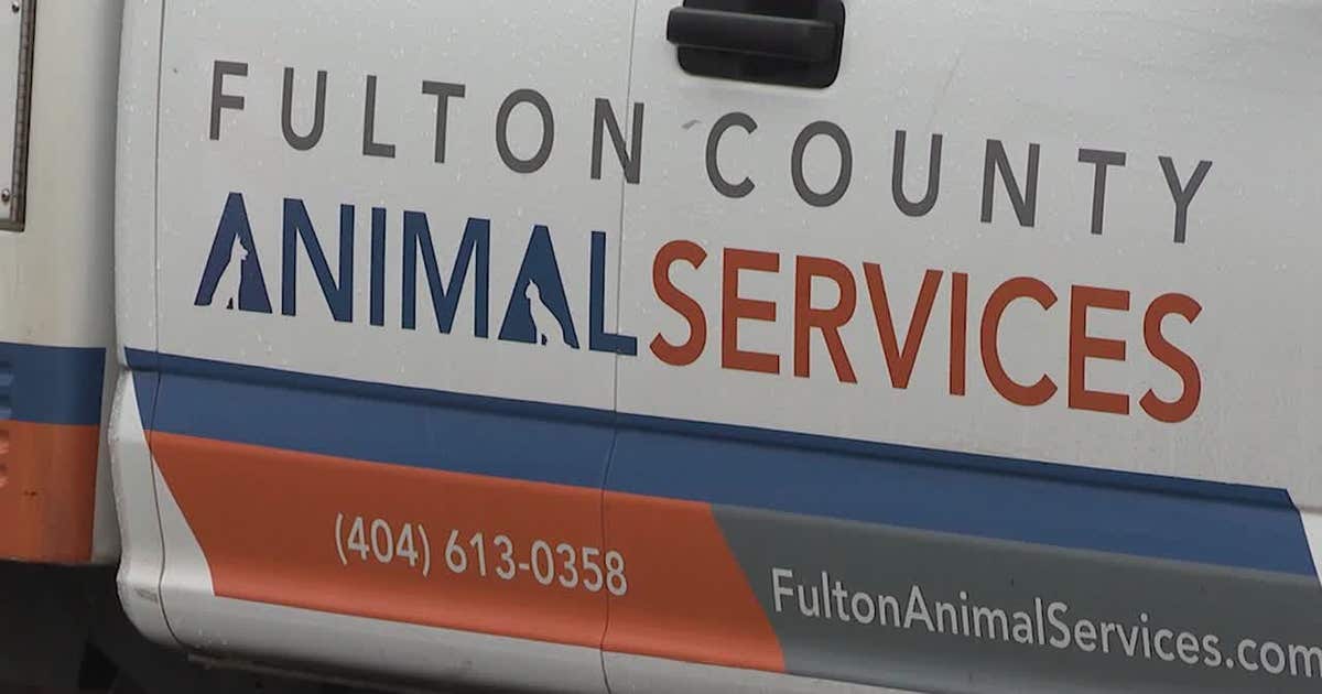 Fulton County halts animal control services in Atlanta amid funding ...