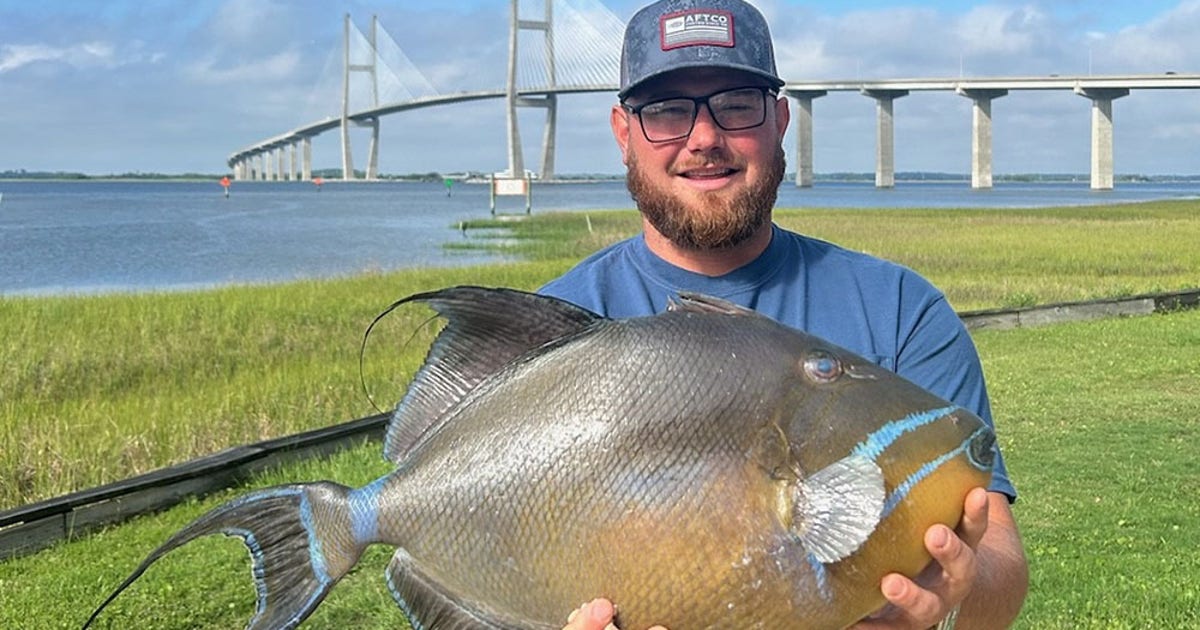 Georgia angler hooks unique-looking fish, snags state record 2 months ...