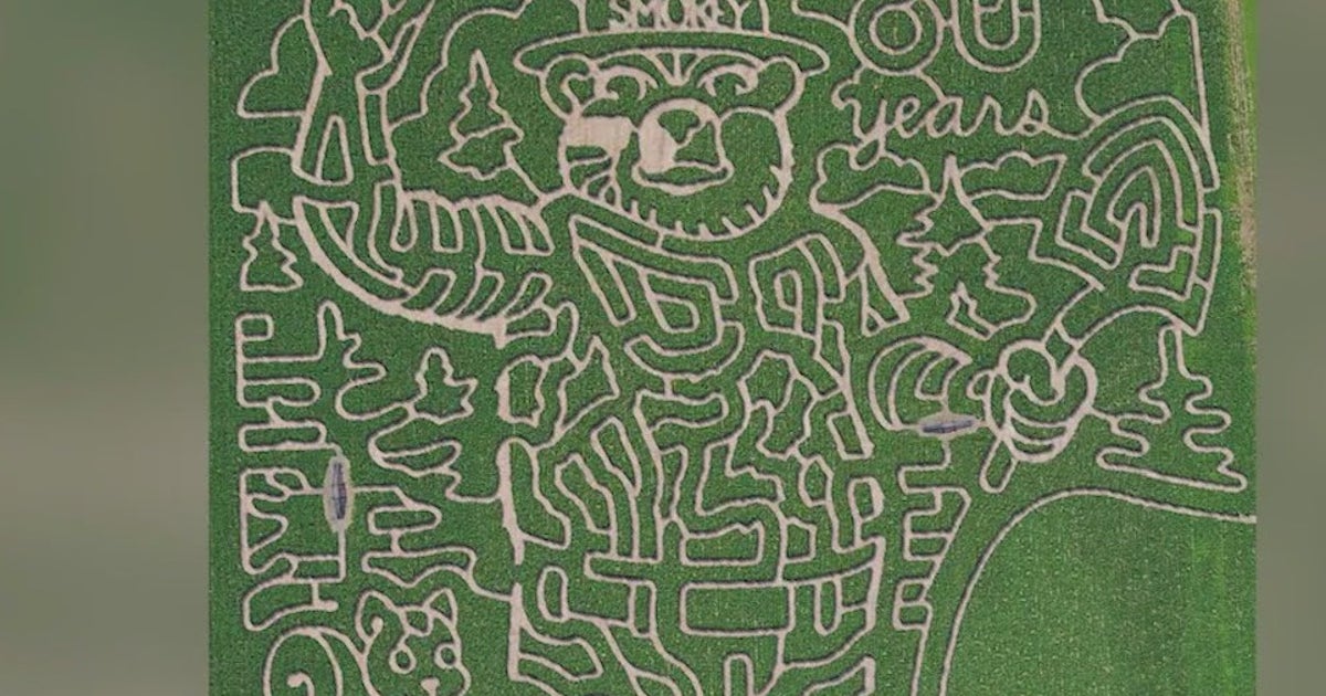 Georgia corn maze ranked as one of top 10 in nation | FOX 5 Atlanta