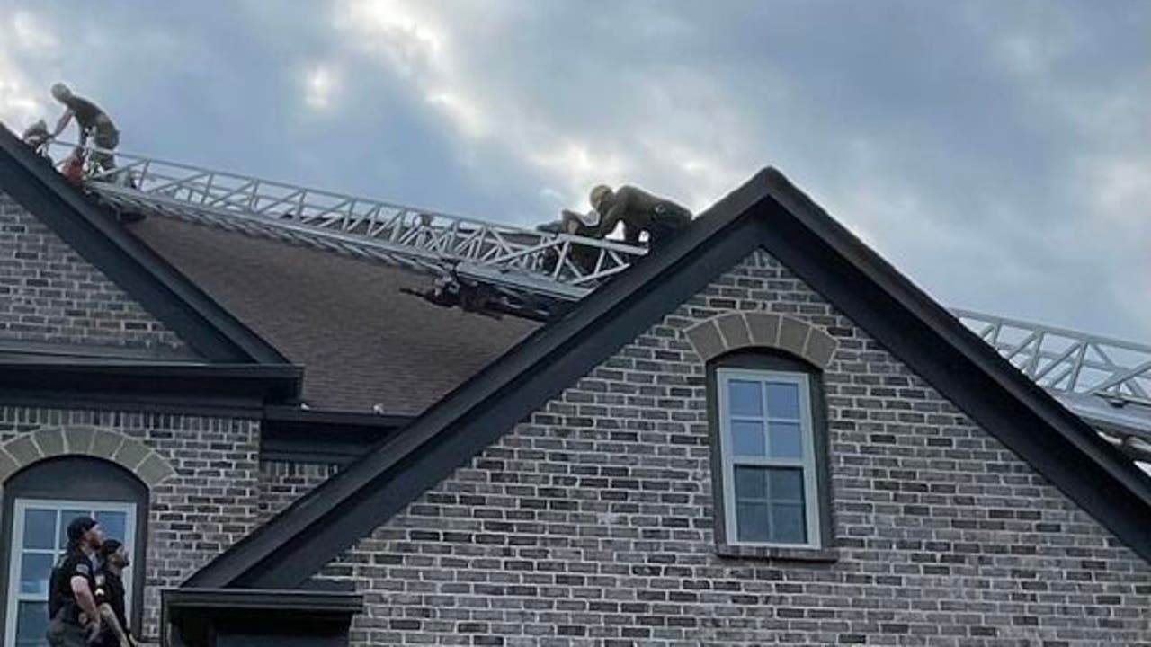 Peachtree City SRT assists in rescue of woman during mental health ...