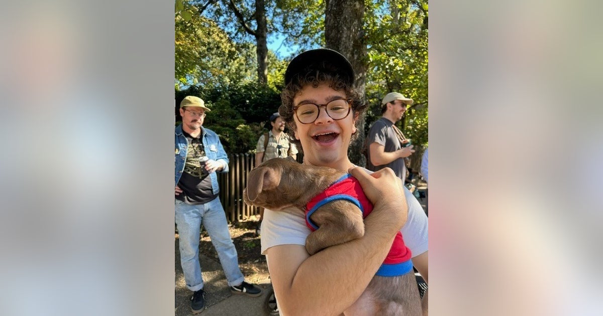 'Stranger Things' star cuddles with pups from Lifeline Animal Project ...