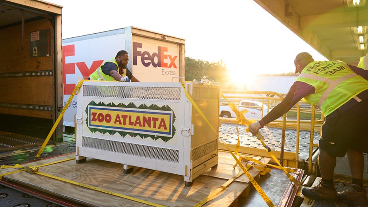 Bye-bye pandas: Zoo Atlanta's famous giant pandas return to China | FOX ...