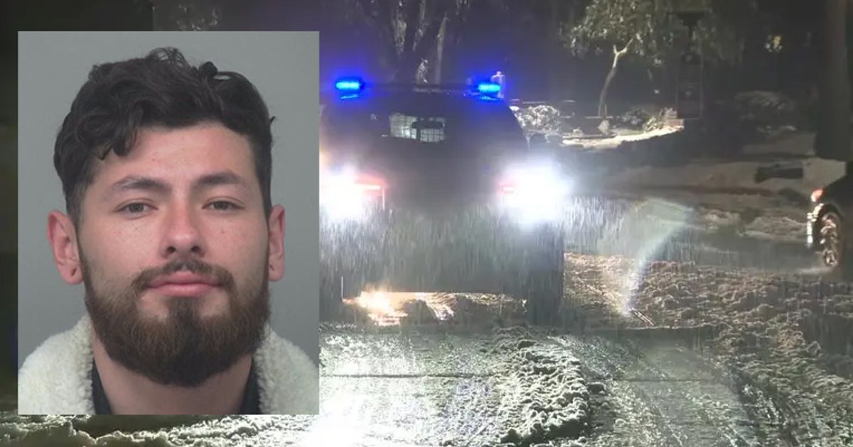 Suspect in deadly stabbing of Gwinnett County woman in custody, police ...