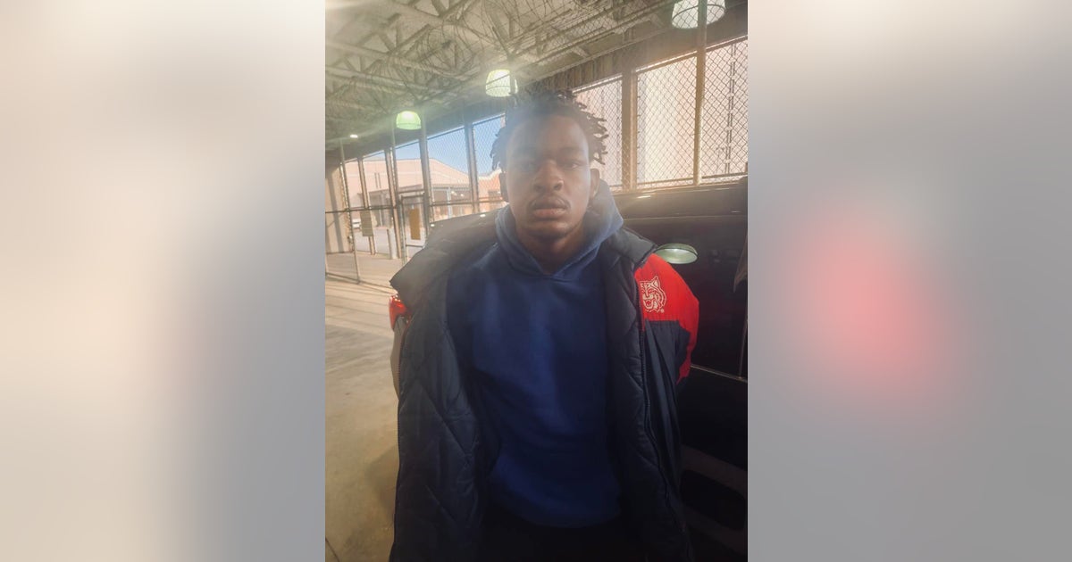 Convicted felon facing animal cruelty charges after arrest in Fulton ...