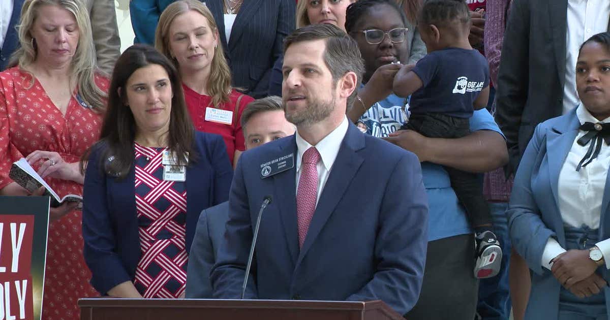 Republican state Senator Brian Strickland files to run for Georgia ...