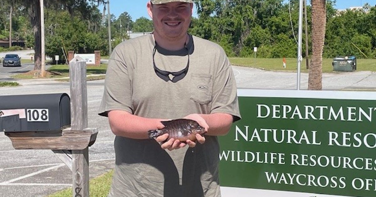 Georgia angler ties state record with massive spotted sunfish catch ...