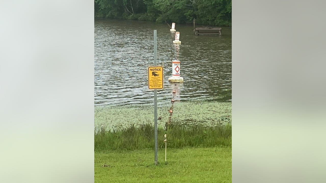 Alligator possibly spotted at Lake Jimmy Jackson in Hogansville | FOX 5 ...