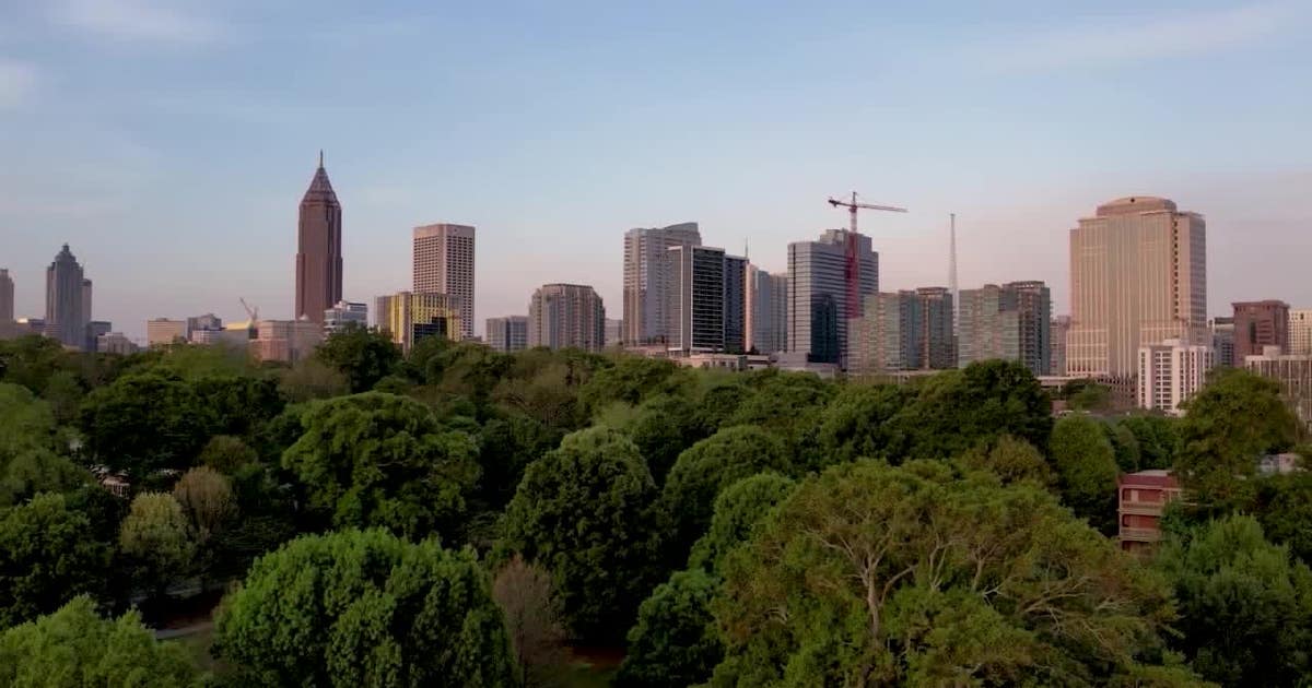 Atlanta City Council approves new protections to maintain tree canopy ...