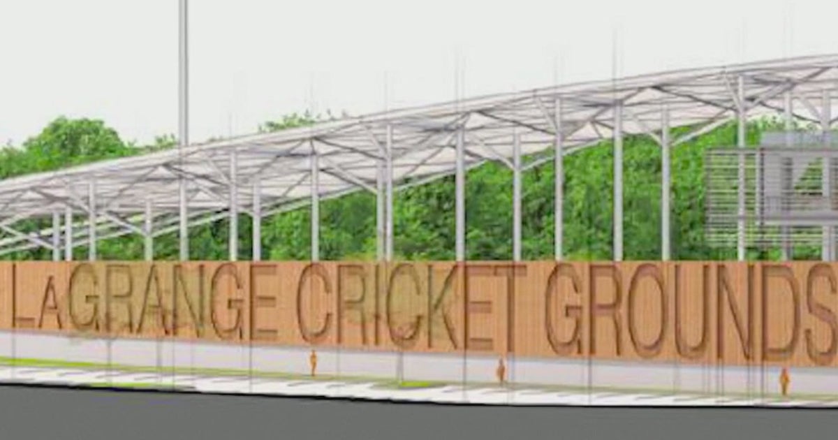 $50M LaGrange cricket stadium could bring another pro team to Georgia ...