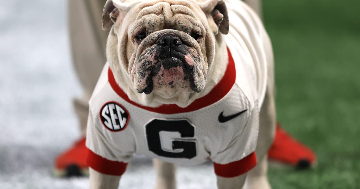 Georgia drops Louisville, NC State series as SEC prepares 2026 schedule ...