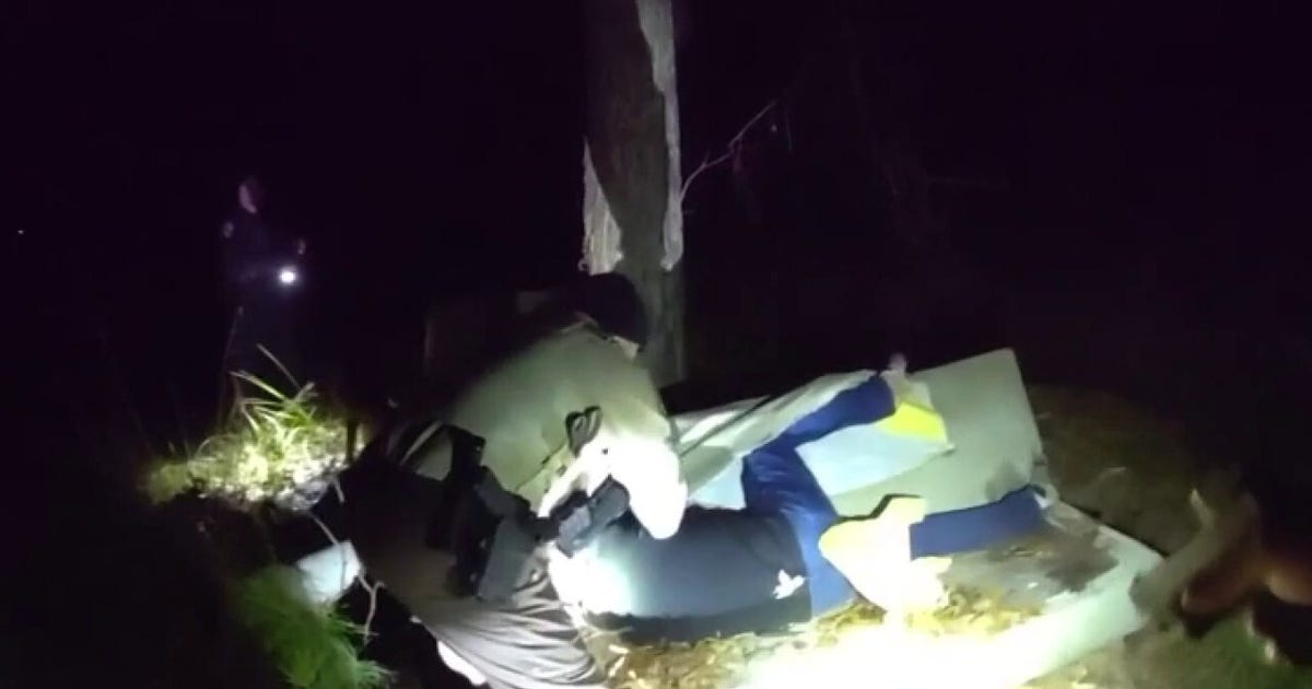 Video: Bloodhound tracks man wanted in Fayette County deadly stabbing ...