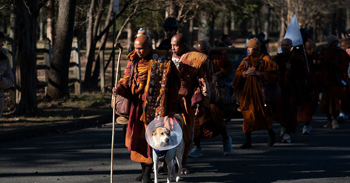 Walk for Peace continues after brief reunion with Aloka the 'Peace Dog ...