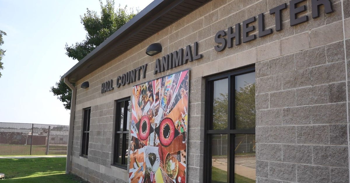 Hall shelter delays opening after parvovirus cases | FOX 5 Atlanta