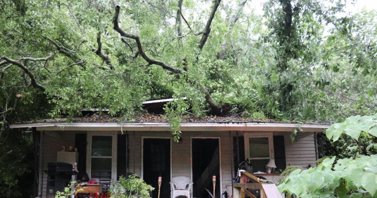 Fallen tree traps man during severe LaGrange thunderstorm | FOX 5 Atlanta