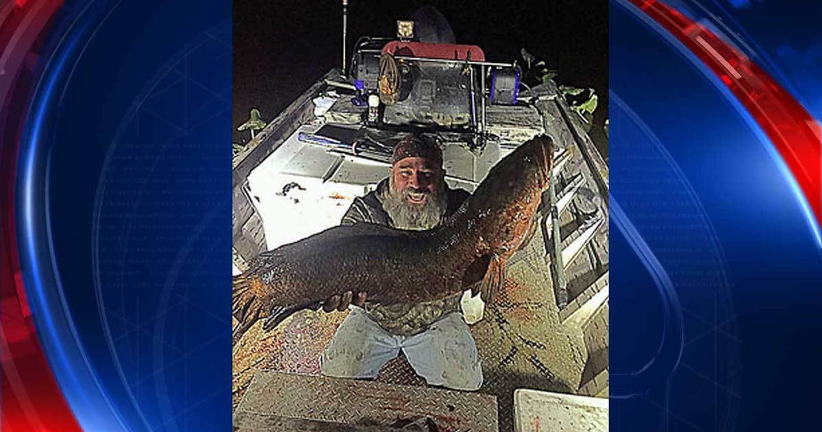 BIG CATCH: Md. man sets state record for largest snakehead fish catch ...