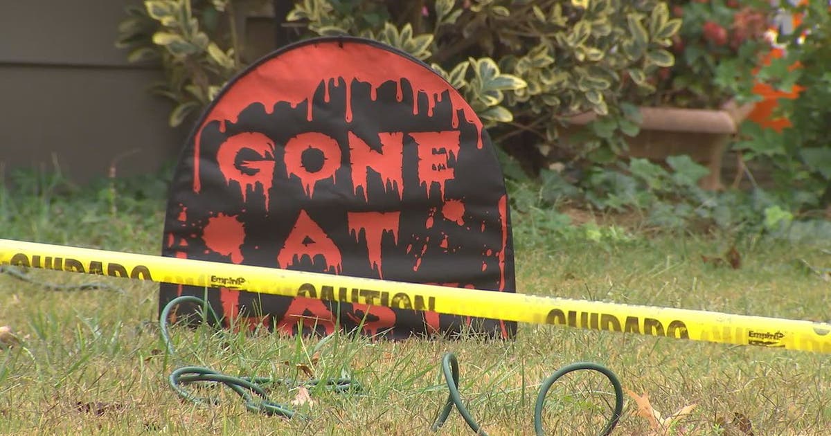 Thieves caught on camera stealing Halloween decorations from front yard ...