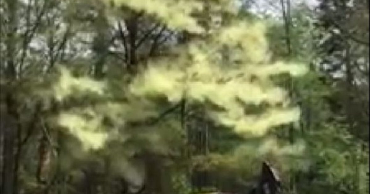 VIDEO: Incredible pollen storm caught on camera | FOX 5 DC