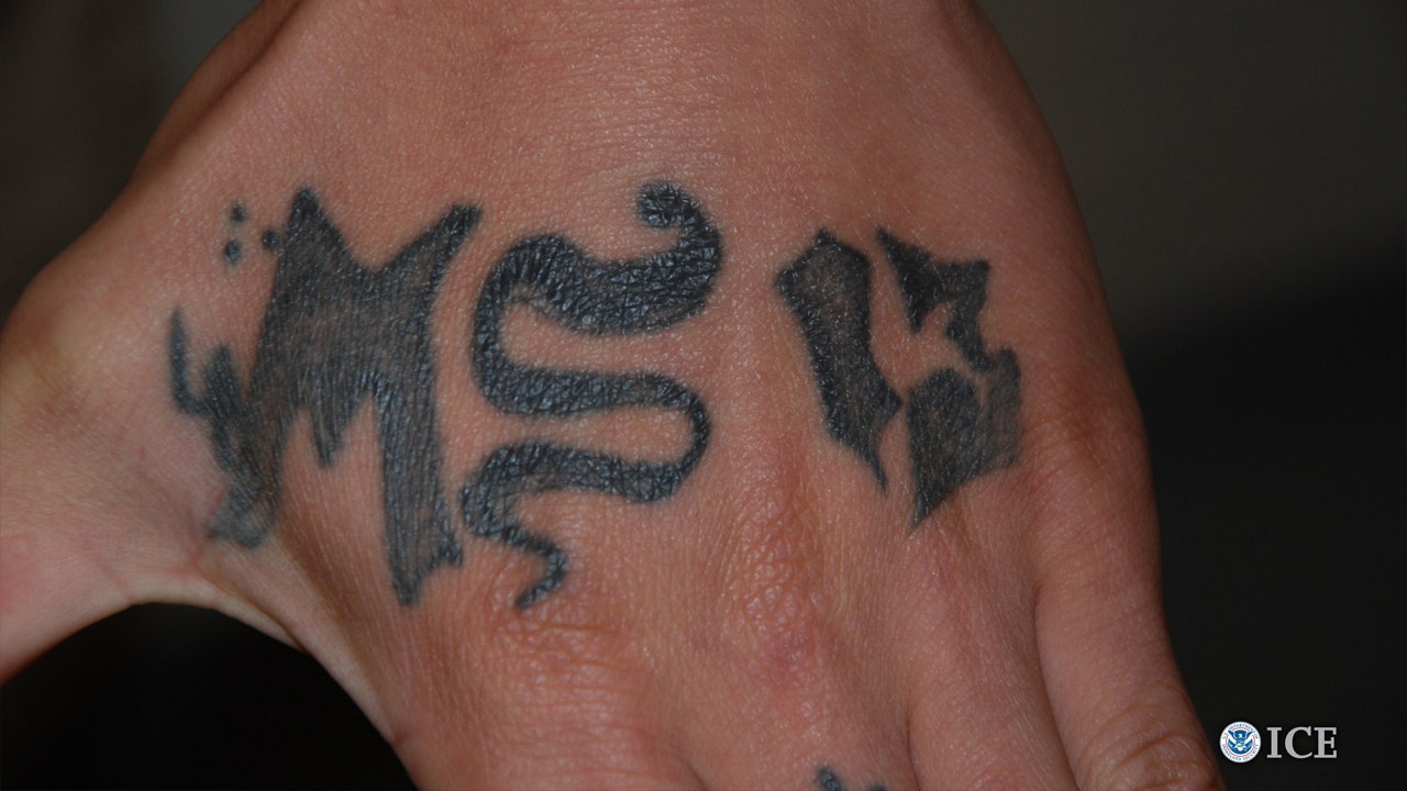 Northern Va. Regional Gang Task Force: 80 percent of gang recruitment ...