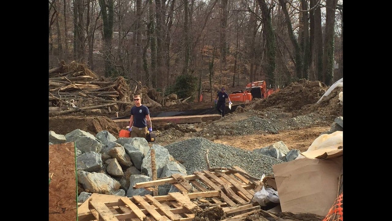 Construction worker killed after struck by tree