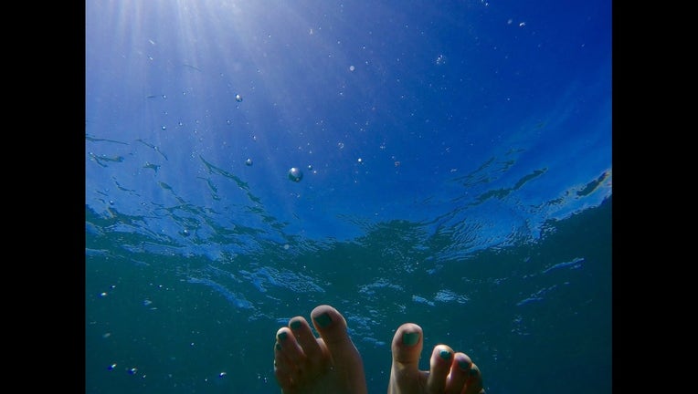 Philadelphia tells residents: Don't swim in dumpster pools | FOX 5 DC