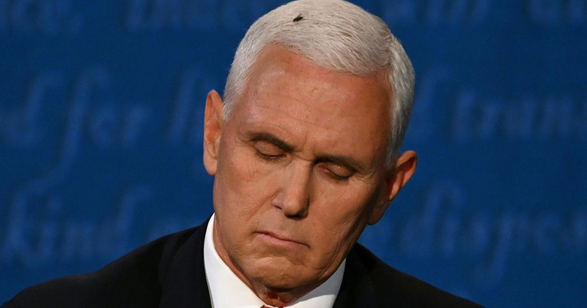 Fly on Mike Pence’s head sets social media abuzz during VP debate | FOX ...