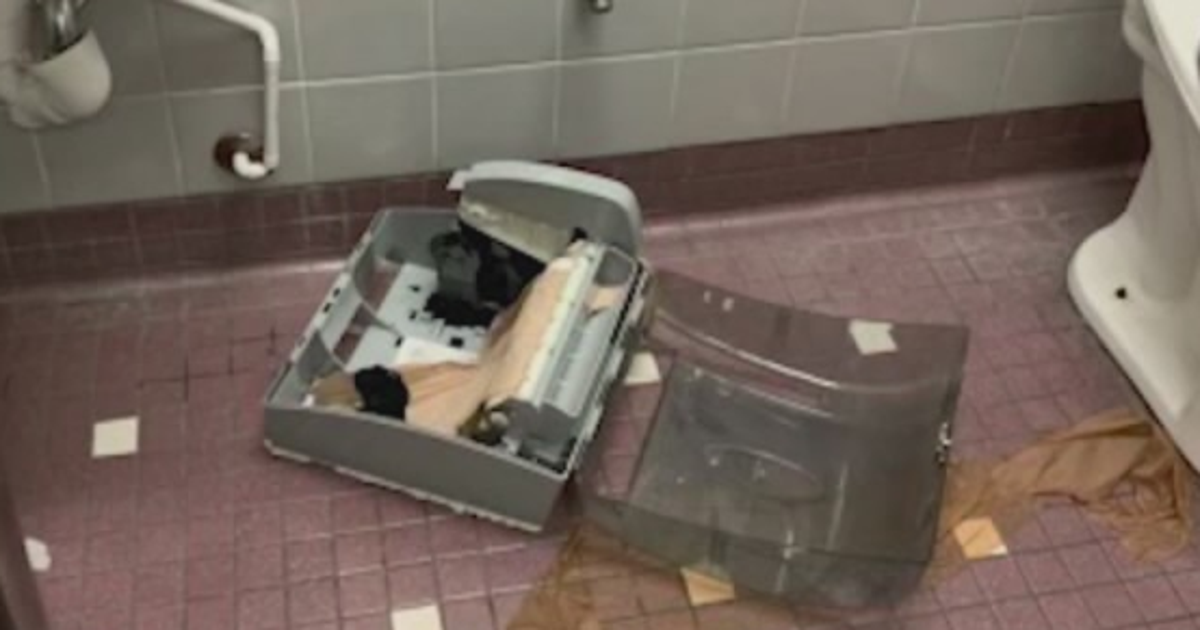 Tik Tok trend 'Devious Licks' leads to property damage at DMV schools ...