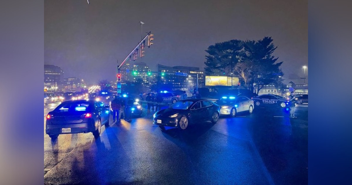Drunk man mistakenly steals Tesla he confused for his own: police | FOX ...
