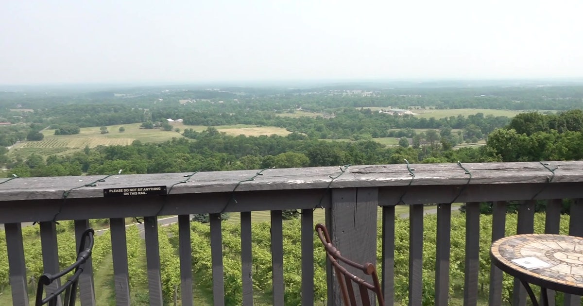 5 things to do in Bluemont | FOX 5 DC