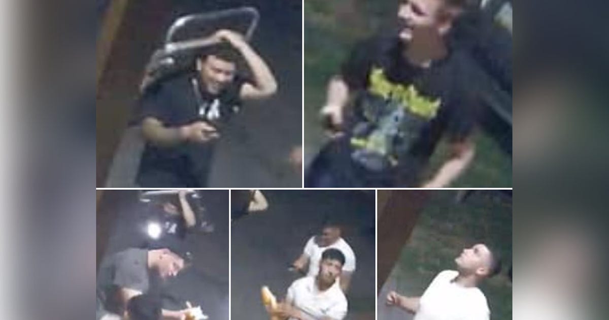 Video shows group snatching koi fish from pond, tossing them around in ...