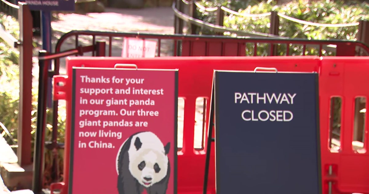 Disappointment, tears at National Zoo after giant pandas leave for ...