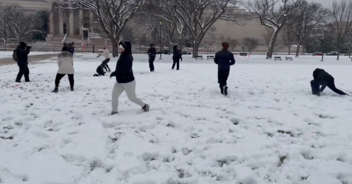 DC snowball fight planned for National Mall on Sunday | FOX 5 DC