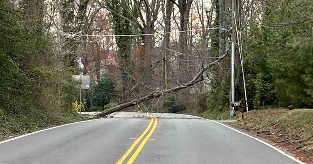Fallen tree and downed power lines shuts down road in Fairfax County ...