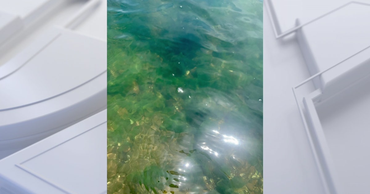 Algal blooms in parts of Potomac River trigger warning for pet owners ...