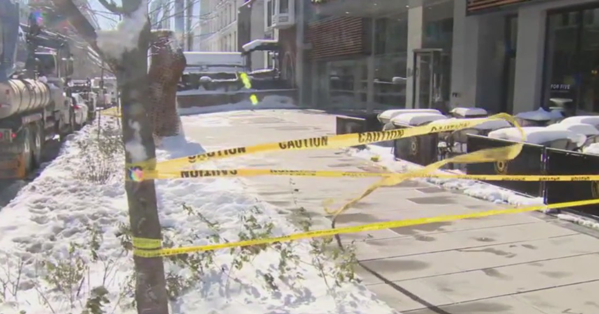 Pepco says faulty cable to blame after 2 dogs die from electrocution in ...