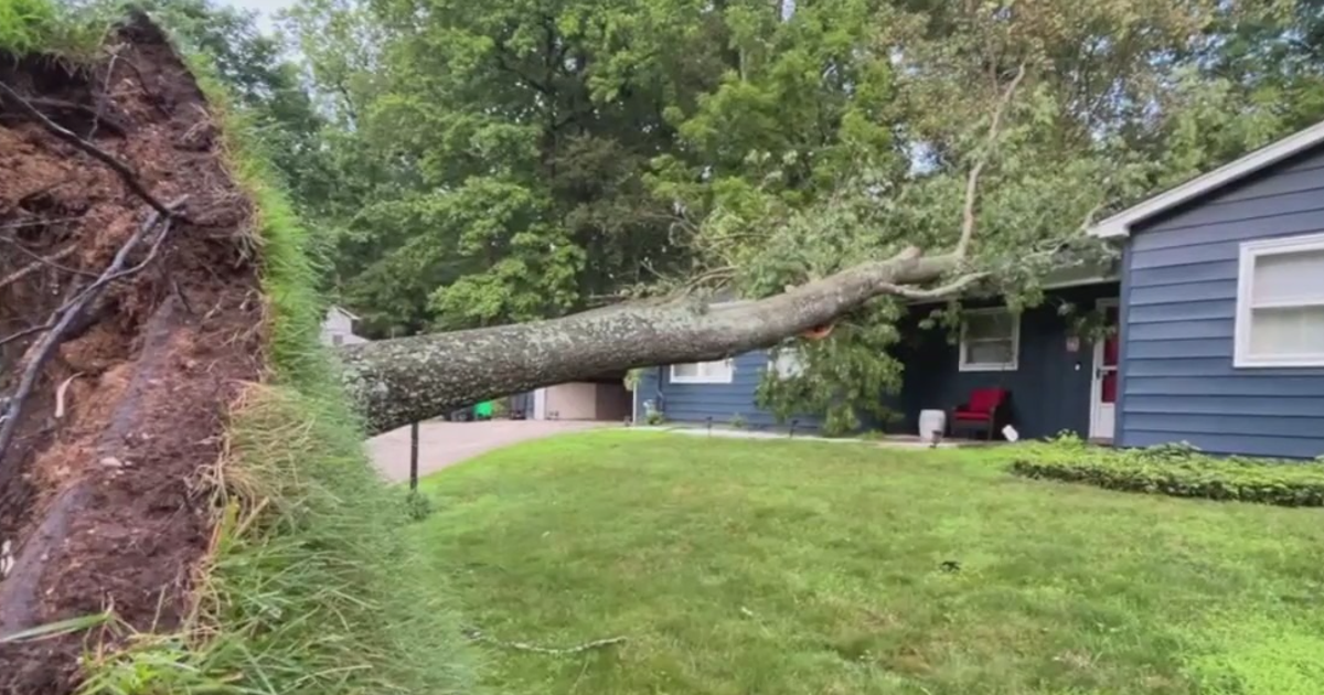 Massive tree falls onto Prince George's County home amid severe storms ...