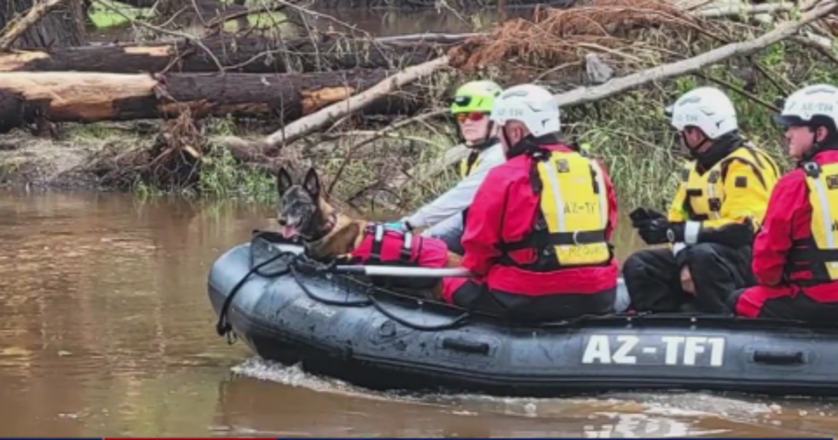 Virginia Task Force 1 Urban Search and Rescue team returns from Texas ...