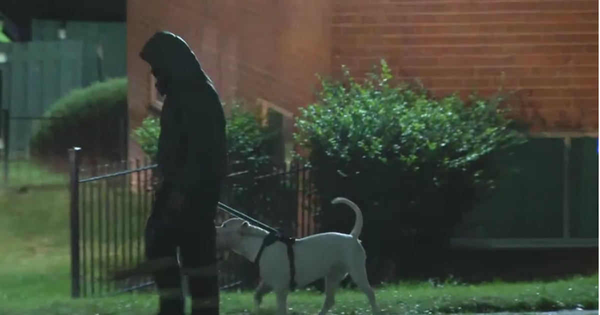 3 injured, at least 2 juveniles, in alleged dog attack in Prince George ...
