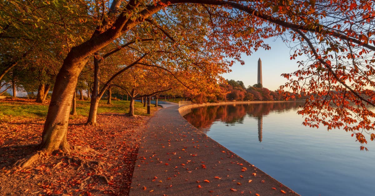Leaf collection begins in DC Monday | FOX 5 DC